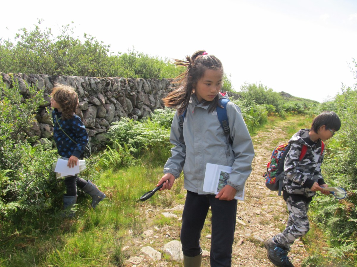 Nature Adventure Days | Mull & Iona Ranger Service